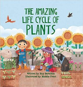Plant Activities for First Grade - Kristen Sullins Teaching