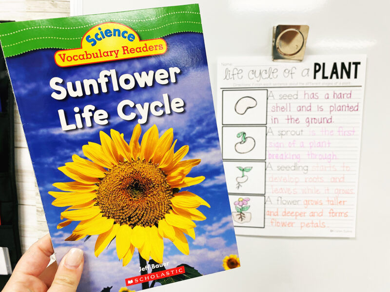 Plant Activities for First Grade - Kristen Sullins Teaching
