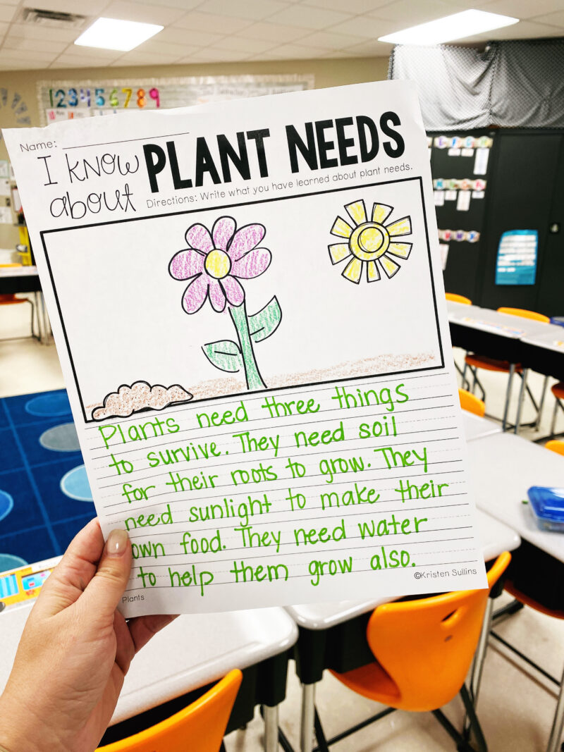 Plant Activities for First Grade - Kristen Sullins Teaching