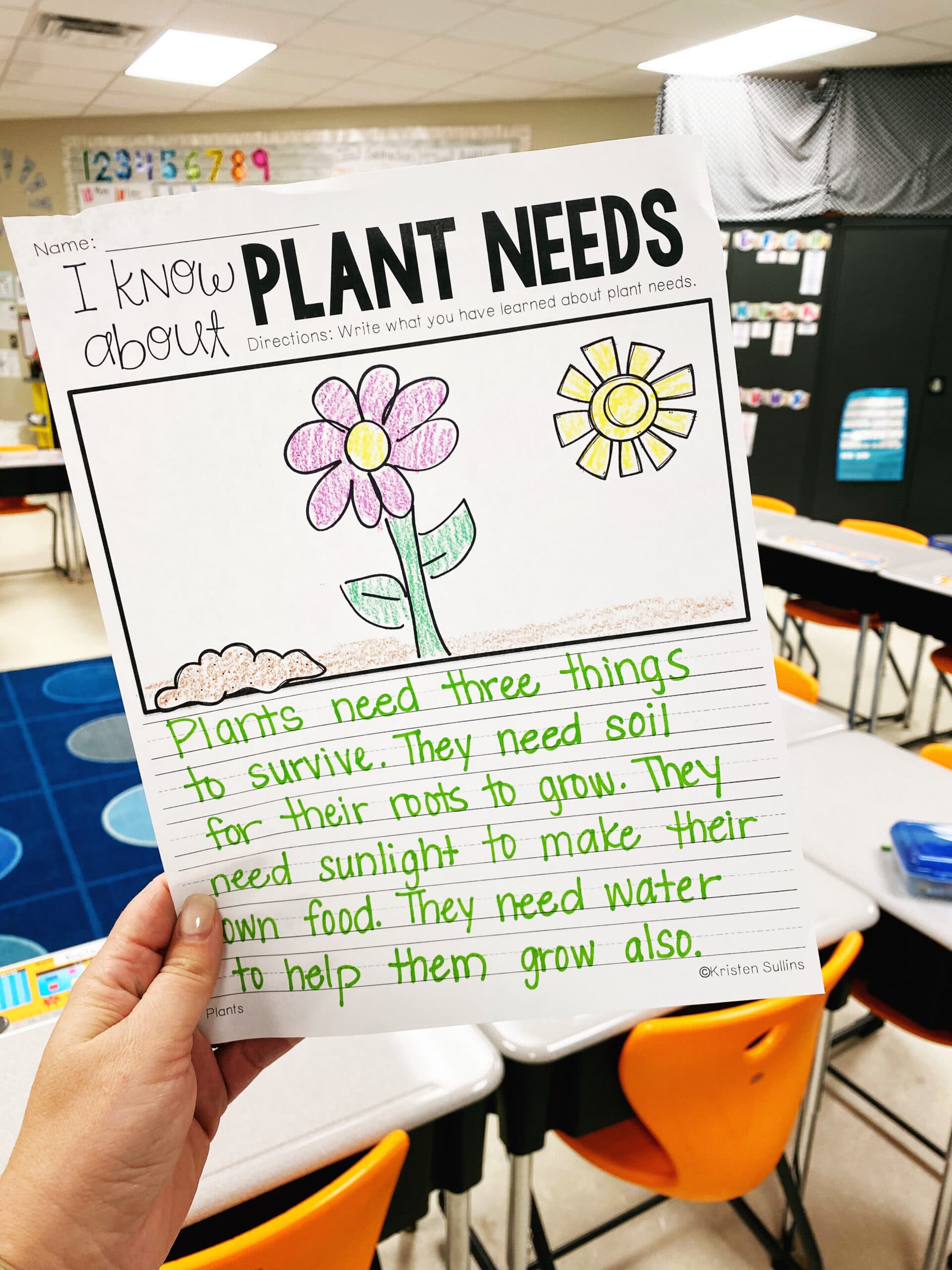 Plant Activities for First Grade - Kristen Sullins Teaching