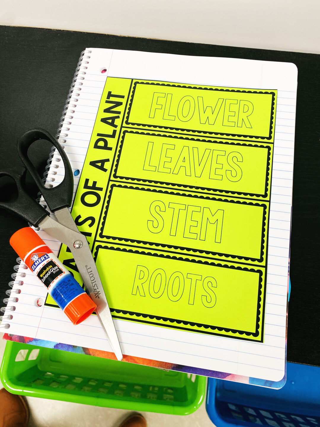 Plant Activities for First Grade - Kristen Sullins Teaching