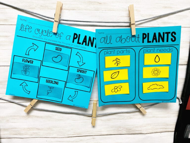 Plant Activities for First Grade - Kristen Sullins Teaching