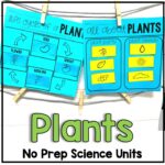 Plant Activities for First Grade - Kristen Sullins Teaching