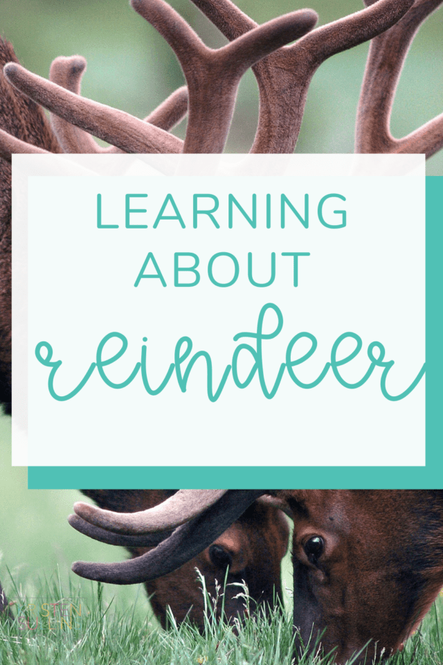 Reindeer Facts for First Grade - Kristen Sullins Teaching