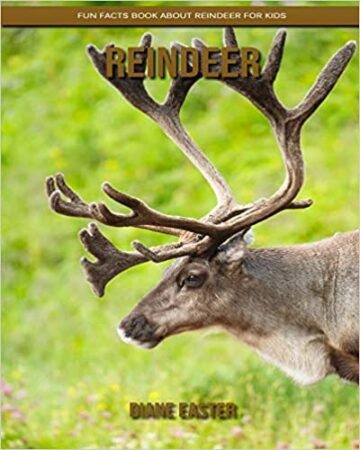 Reindeer Facts for First Grade - Kristen Sullins Teaching
