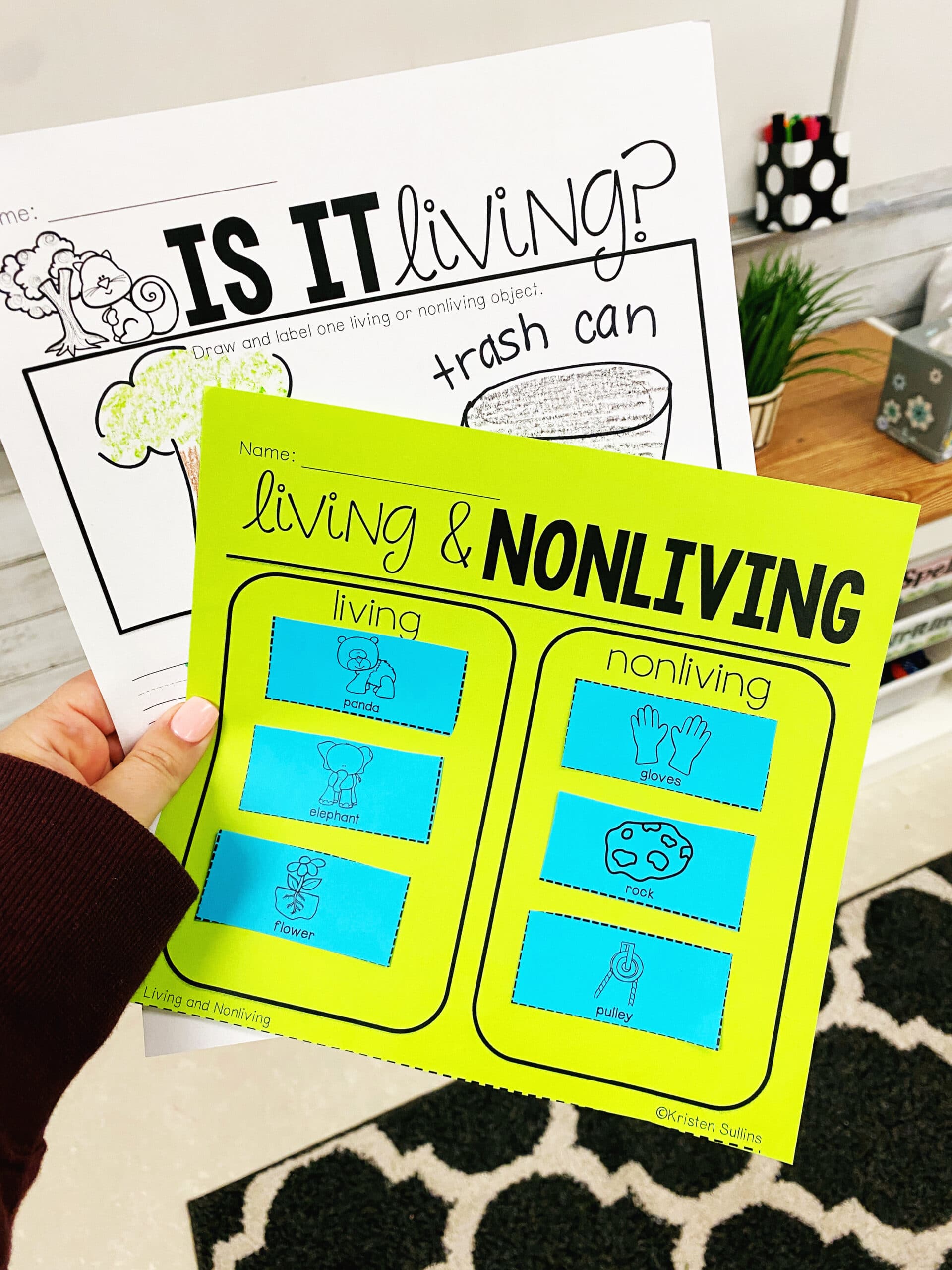 Living and Nonliving for First Grade - Kristen Sullins Teaching
