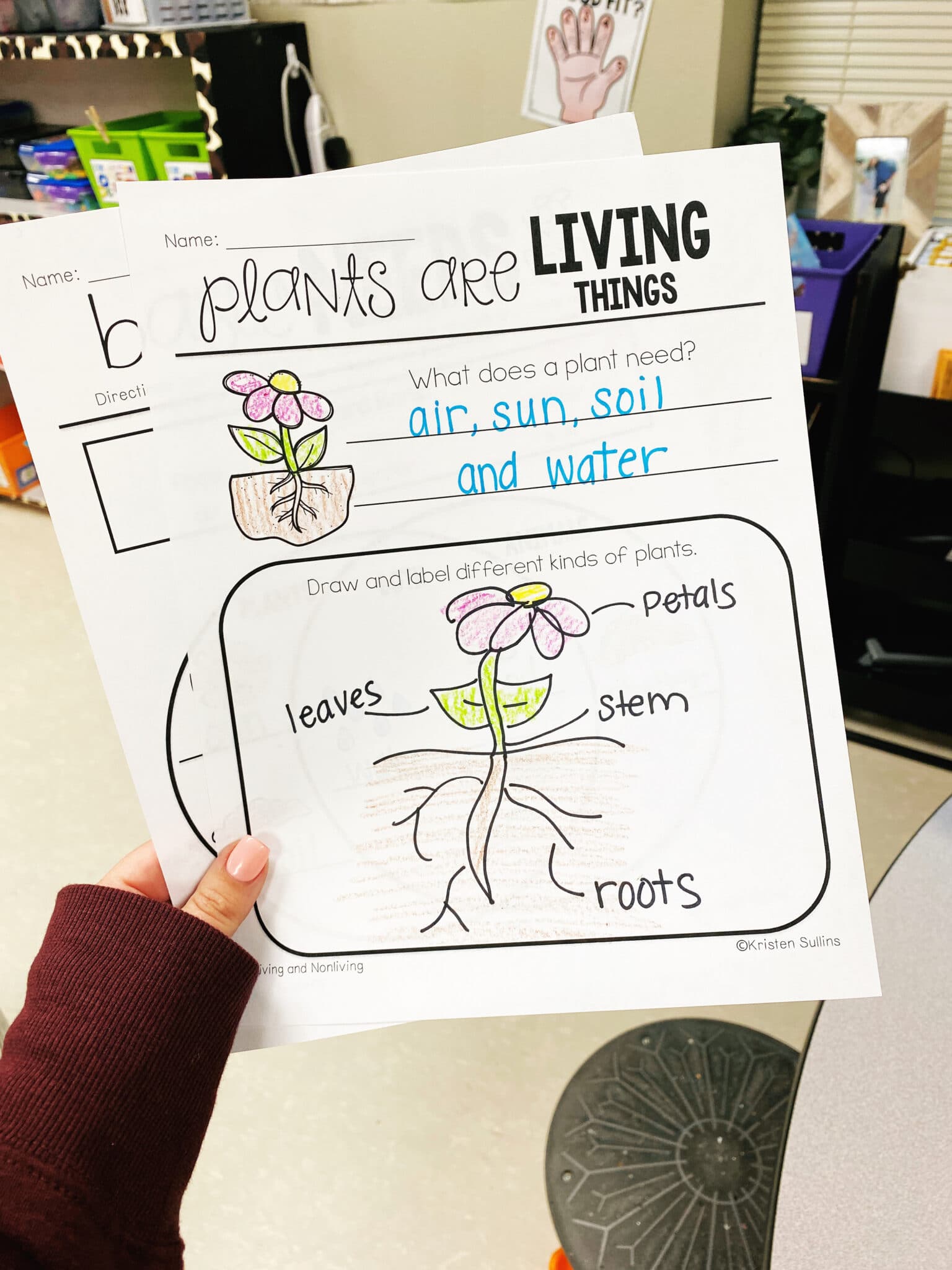 Living and Nonliving for First Grade - Kristen Sullins Teaching