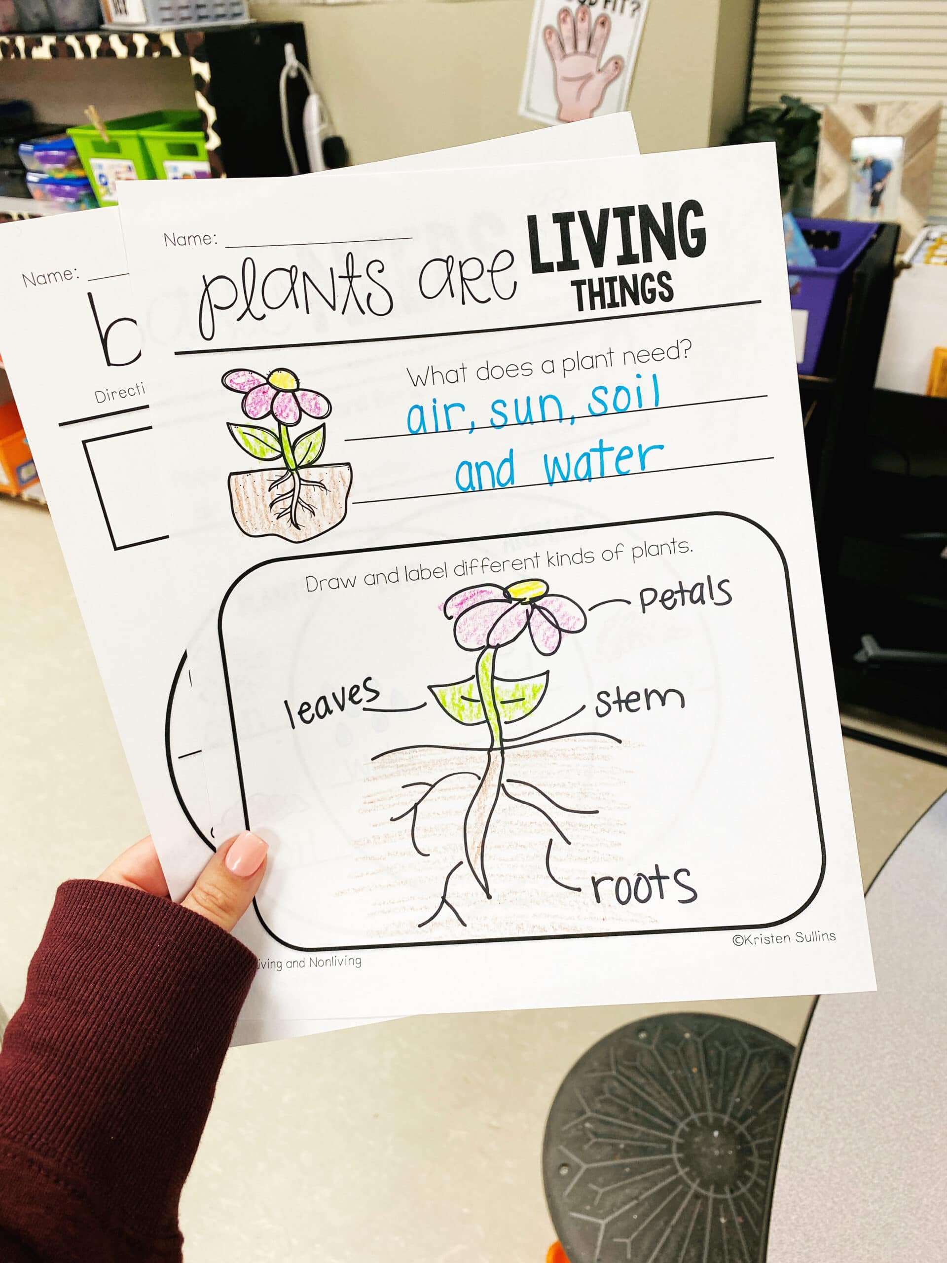 Living and Nonliving for First Grade - Kristen Sullins Teaching