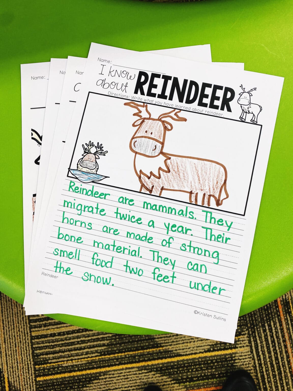 Reindeer Facts for First Grade - Kristen Sullins Teaching
