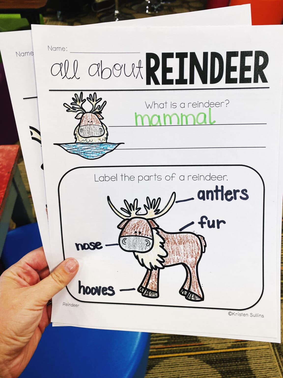 Reindeer Facts for First Grade - Kristen Sullins Teaching