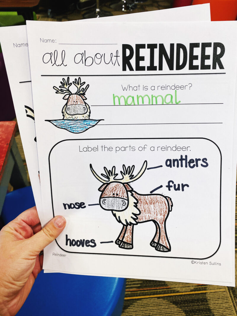 Reindeer Facts for First Grade - Kristen Sullins Teaching