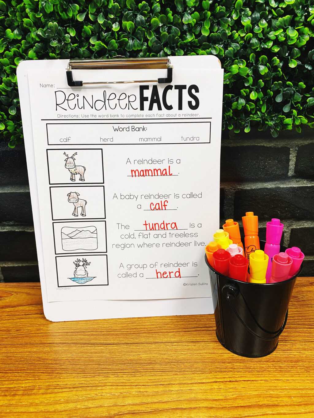 Reindeer Facts for First Grade - Kristen Sullins Teaching