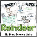 Reindeer Facts for First Grade - Kristen Sullins Teaching