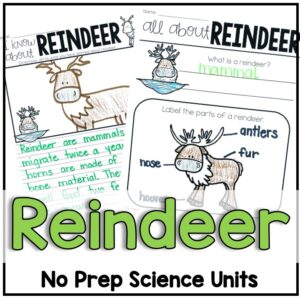 Reindeer Facts for First Grade - Kristen Sullins Teaching