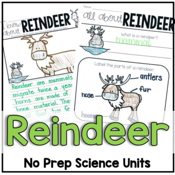 Reindeer Facts for First Grade - Kristen Sullins Teaching