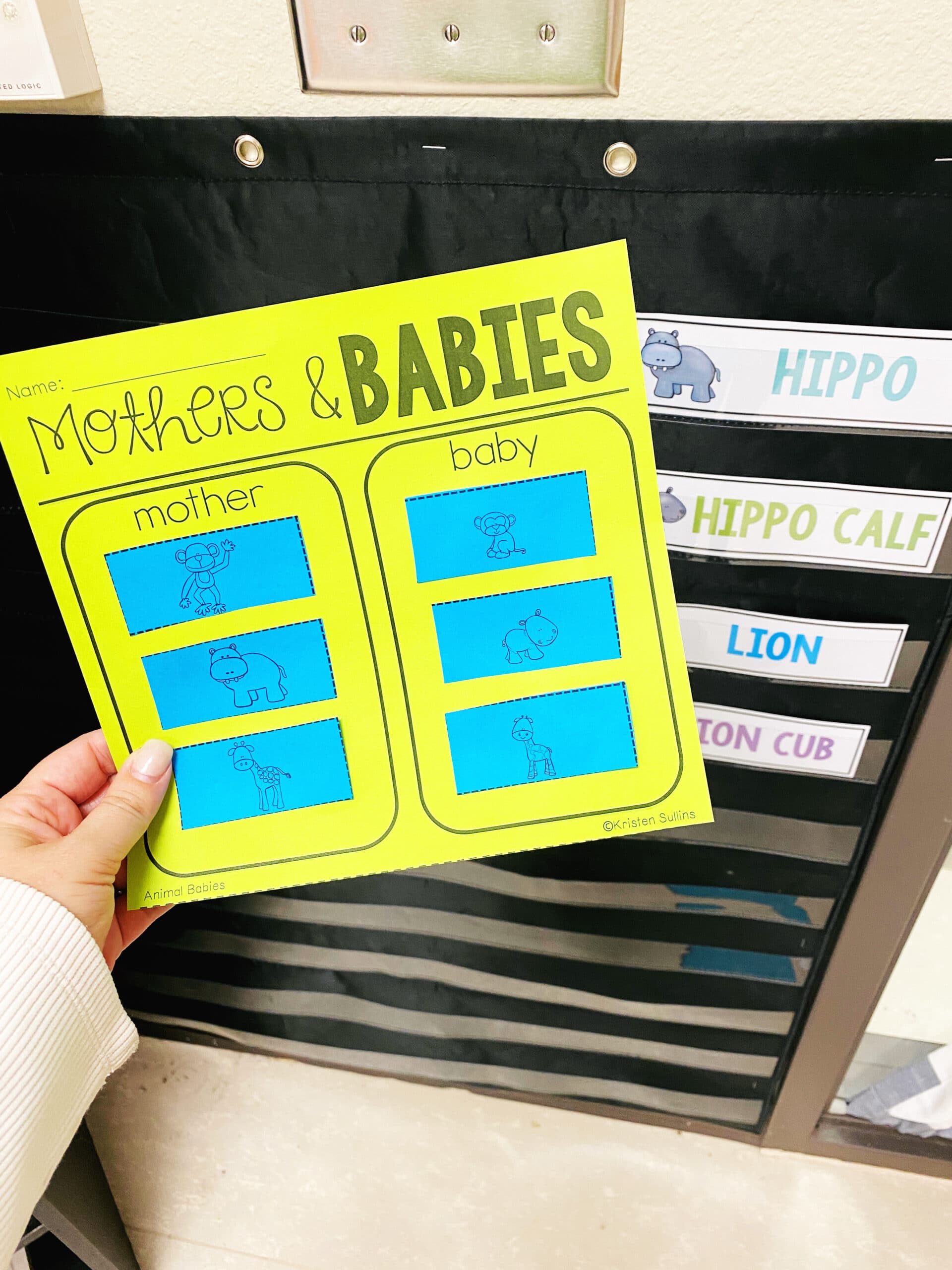 Animal Mothers & Babies for First Grade - Kristen Sullins Teaching