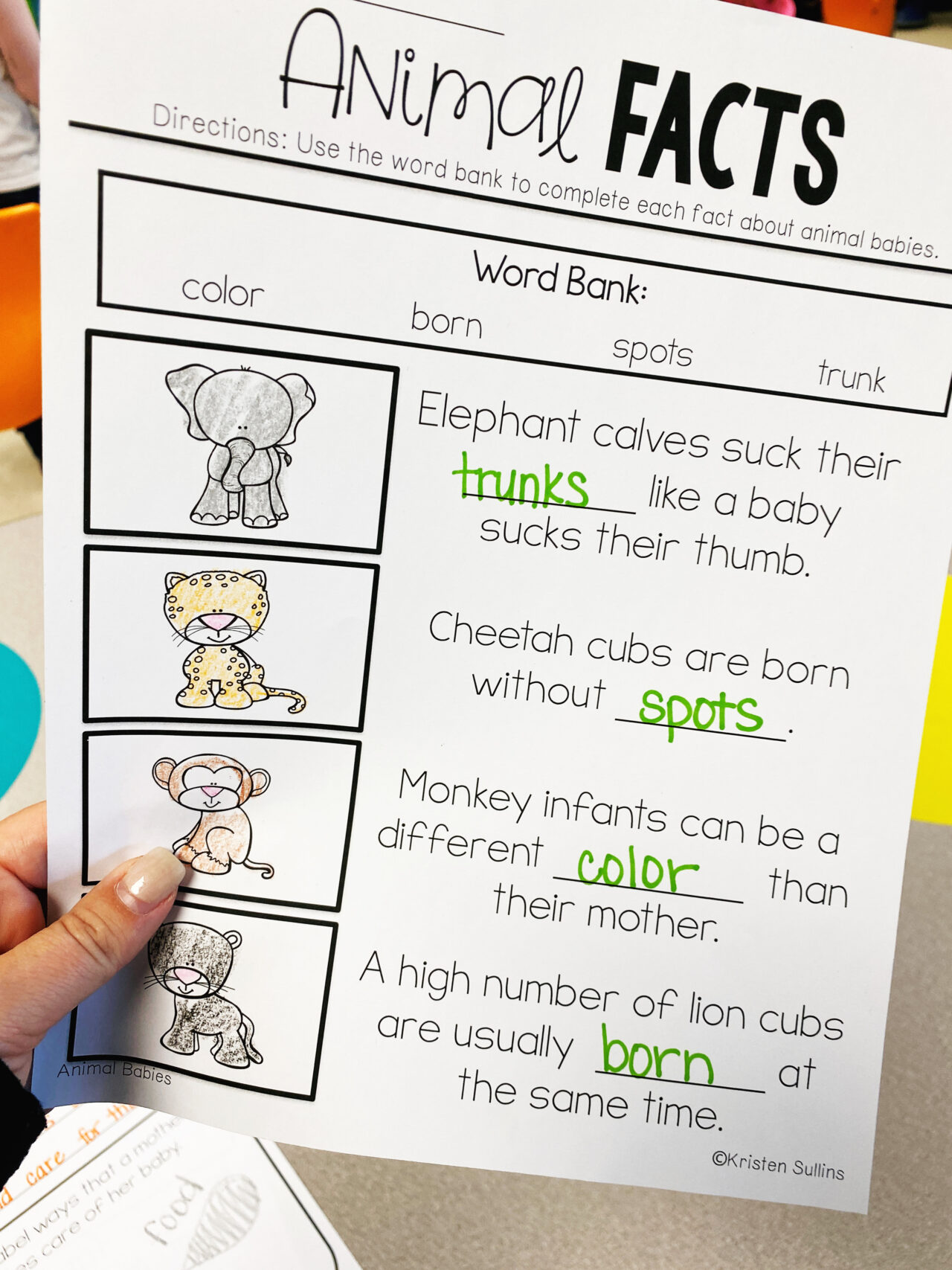 Animal Mothers & Babies for First Grade - Kristen Sullins Teaching