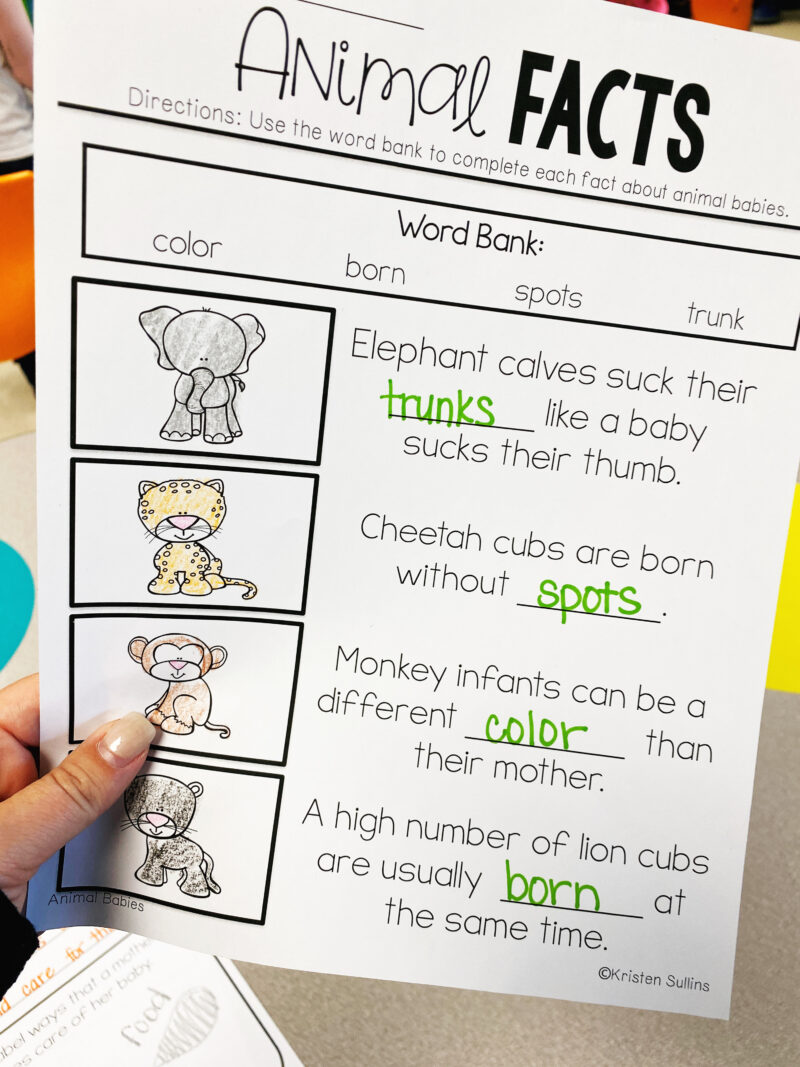 Animal Mothers & Babies for First Grade - Kristen Sullins Teaching