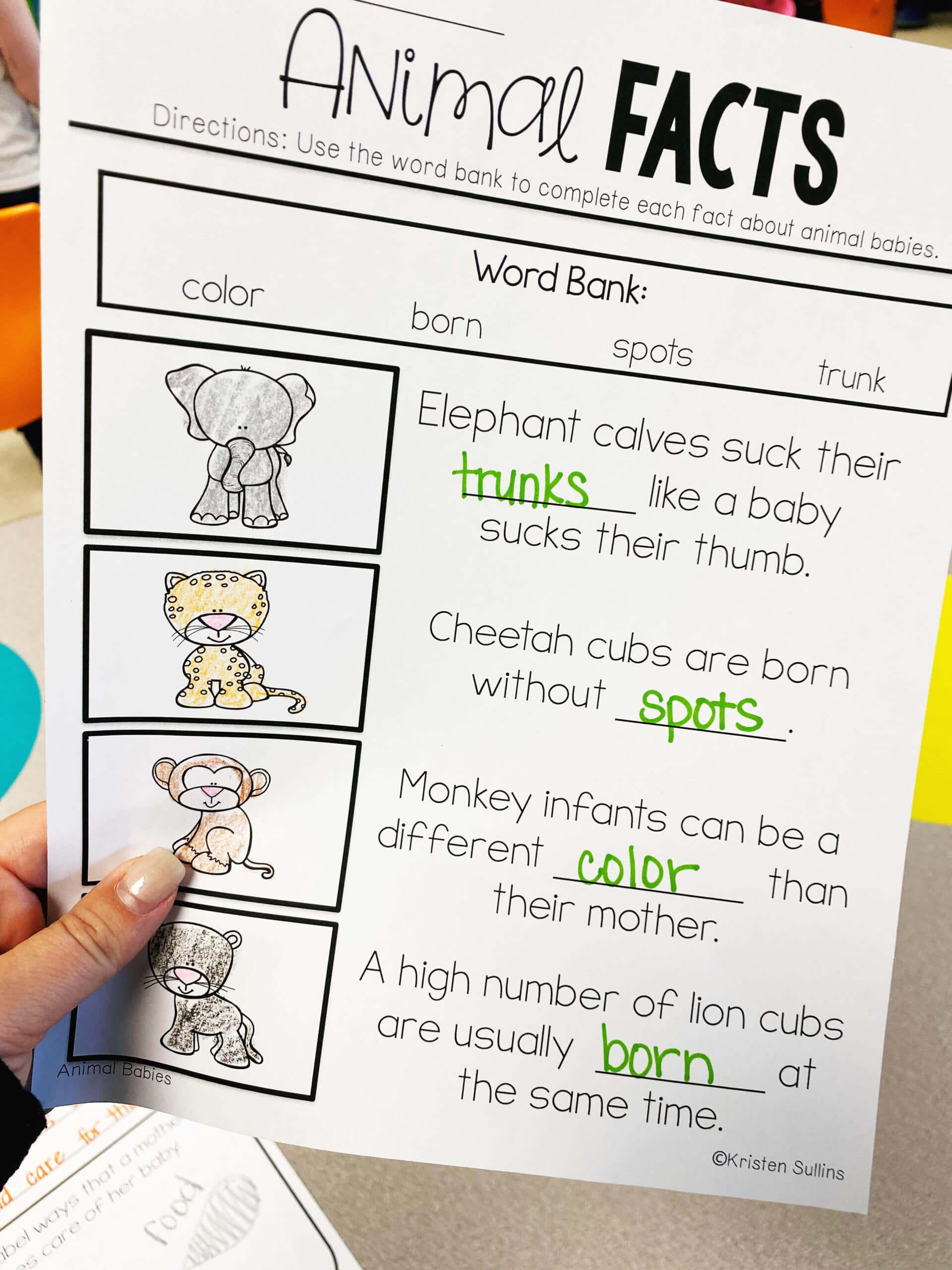 Animal Mothers & Babies for First Grade - Kristen Sullins Teaching