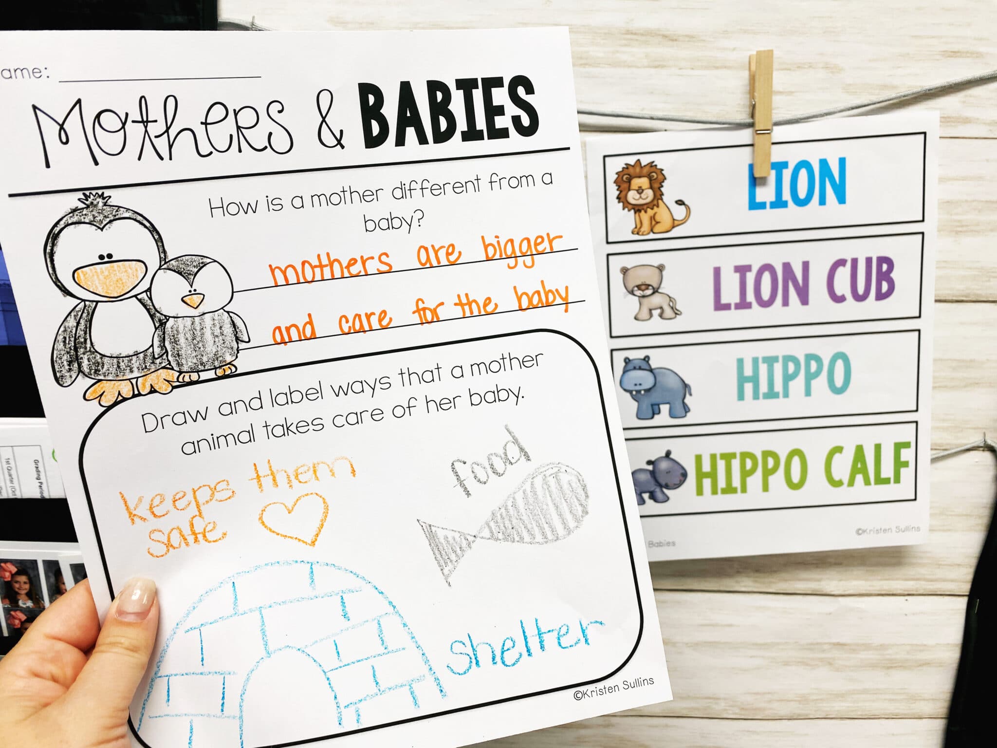 Animal Mothers & Babies for First Grade - Kristen Sullins Teaching