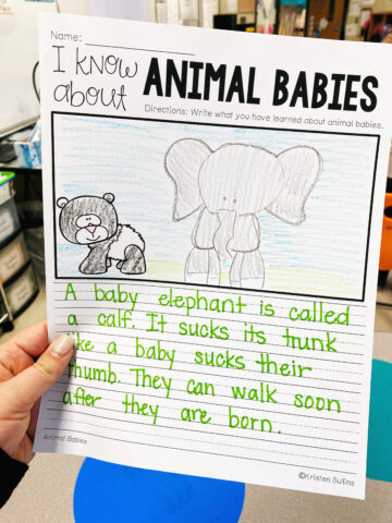 Animal Mothers & Babies for First Grade - Kristen Sullins Teaching