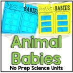 Animal Mothers & Babies for First Grade - Kristen Sullins Teaching