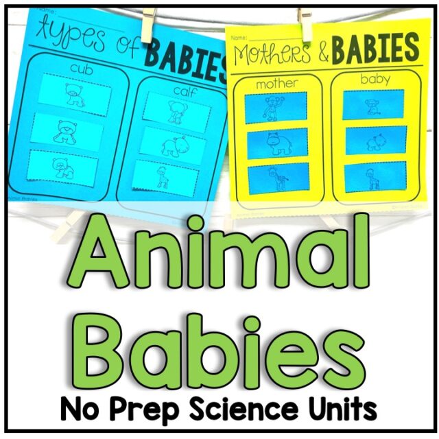 Animal Mothers & Babies for First Grade - Kristen Sullins Teaching
