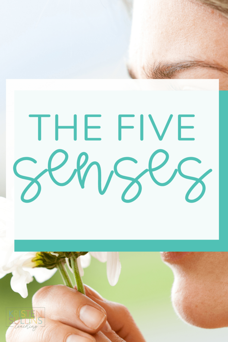 Five Senses For First Grade Kristen Sullins Teaching