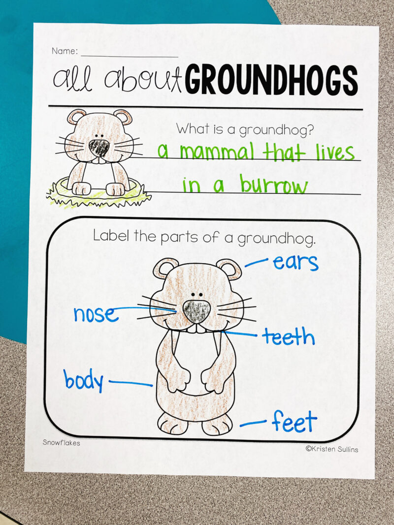 Groundhog Activities for First Grade - Kristen Sullins Teaching