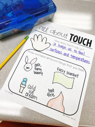 Five Senses for First Grade - Kristen Sullins Teaching