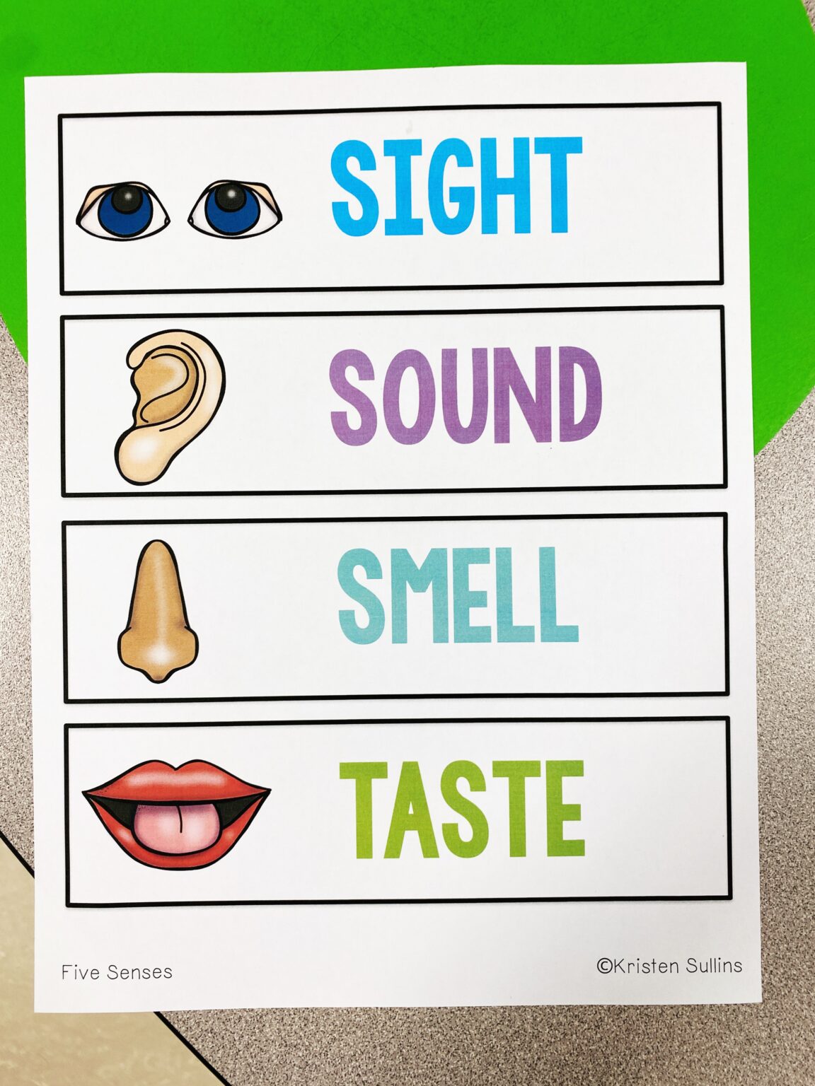 Five Senses for First Grade - Kristen Sullins Teaching