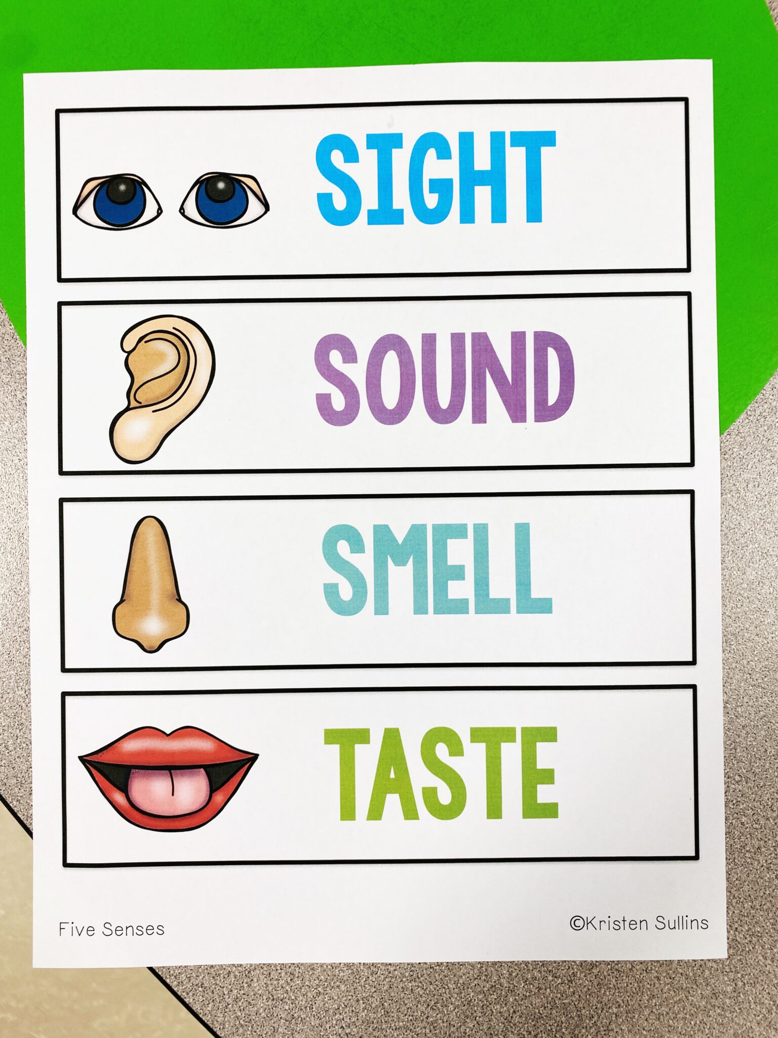 Five Senses For First Grade Kristen Sullins Teaching