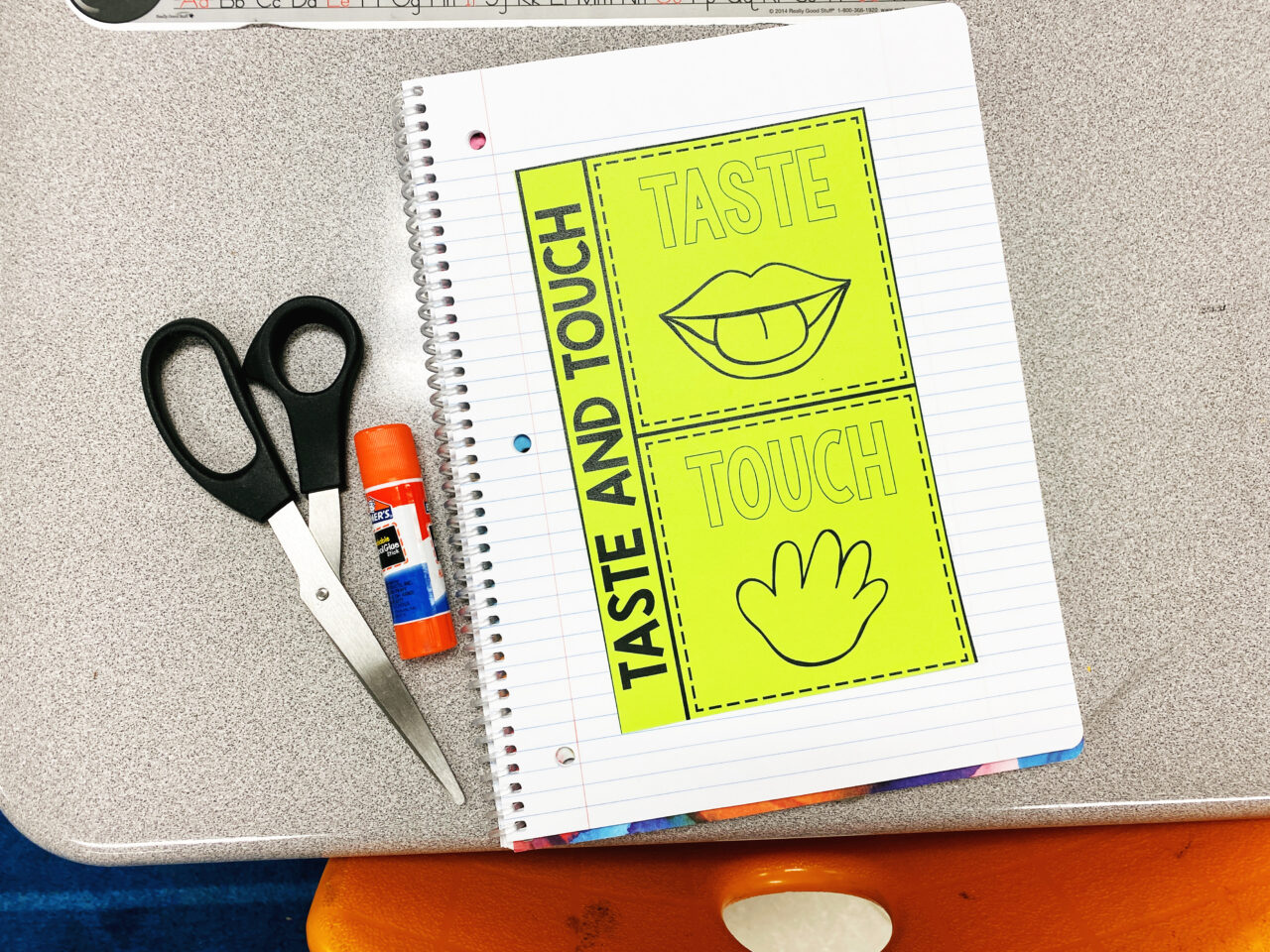 Five Senses for First Grade - Kristen Sullins Teaching