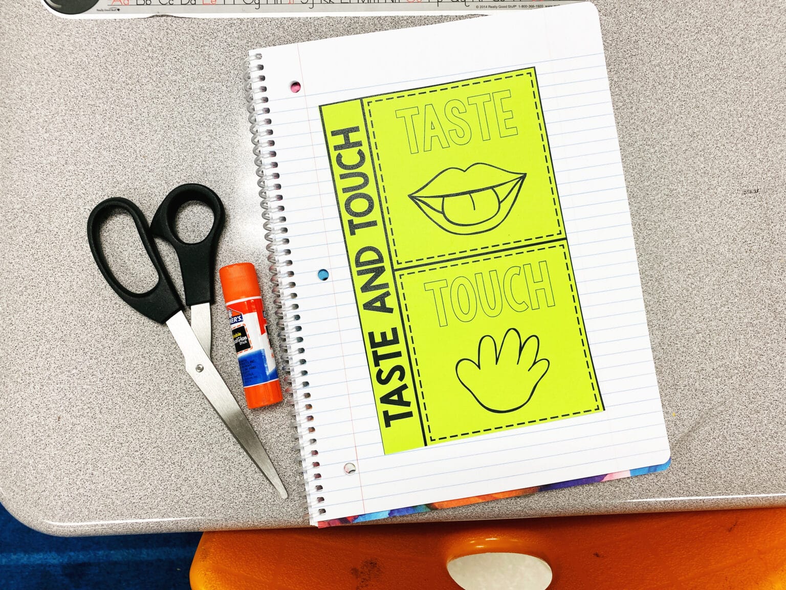 Five Senses for First Grade - Kristen Sullins Teaching