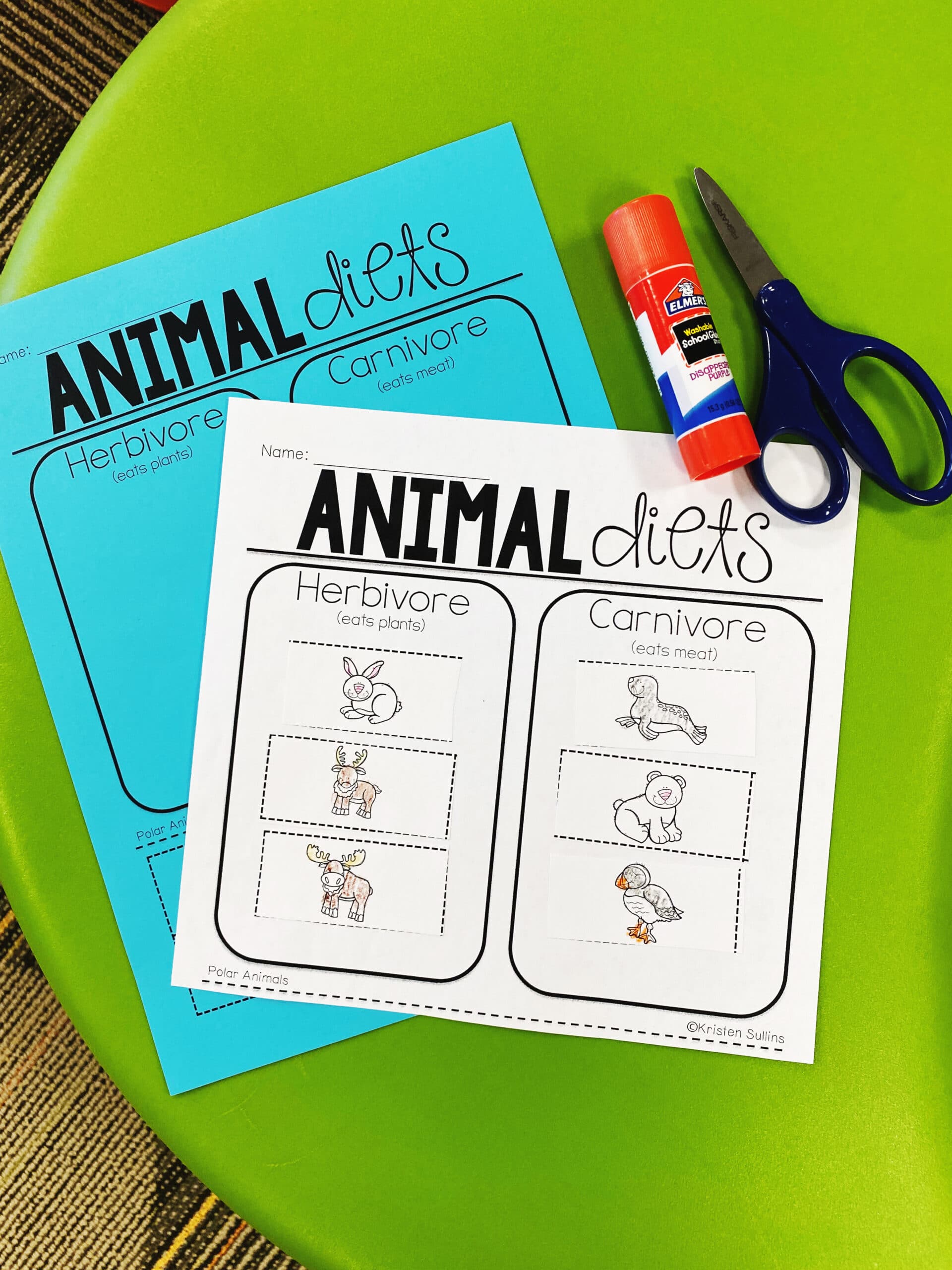 Polar Animals for First Grade - Kristen Sullins Teaching