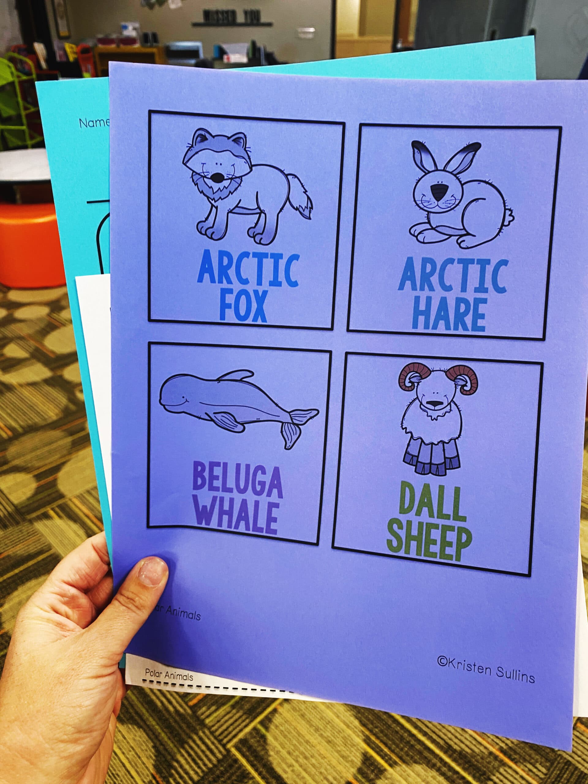 Polar Animals for First Grade - Kristen Sullins Teaching