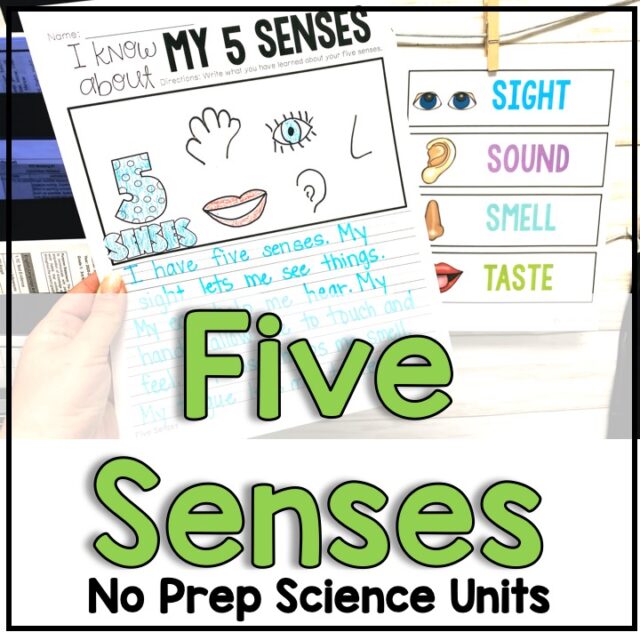 Five Senses for First Grade - Kristen Sullins Teaching