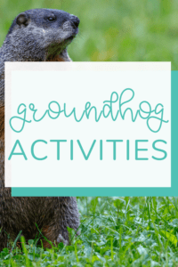 Groundhog Activities for First Grade - Kristen Sullins Teaching