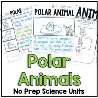 Polar Animals for First Grade - Kristen Sullins Teaching