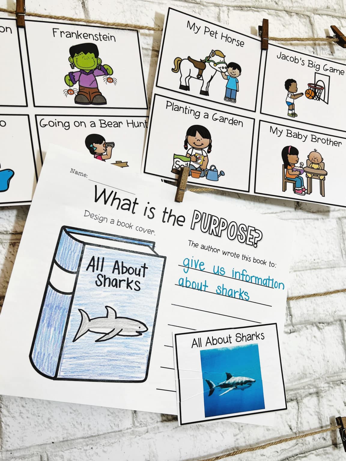 Author's Purpose for First Grade - Kristen Sullins Teaching