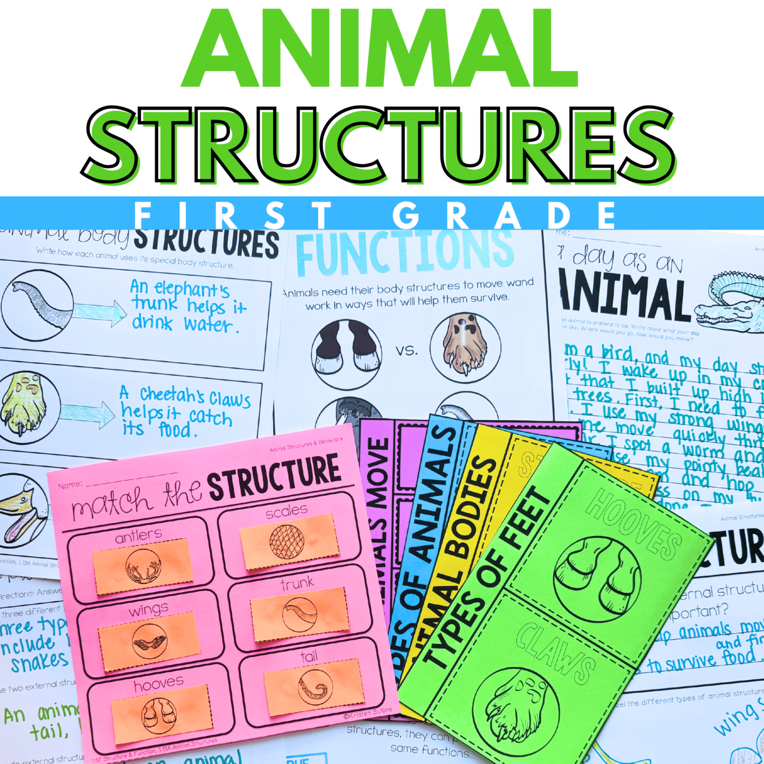 Animal Structures and Functions for First Grade - Kristen Sullins Teaching