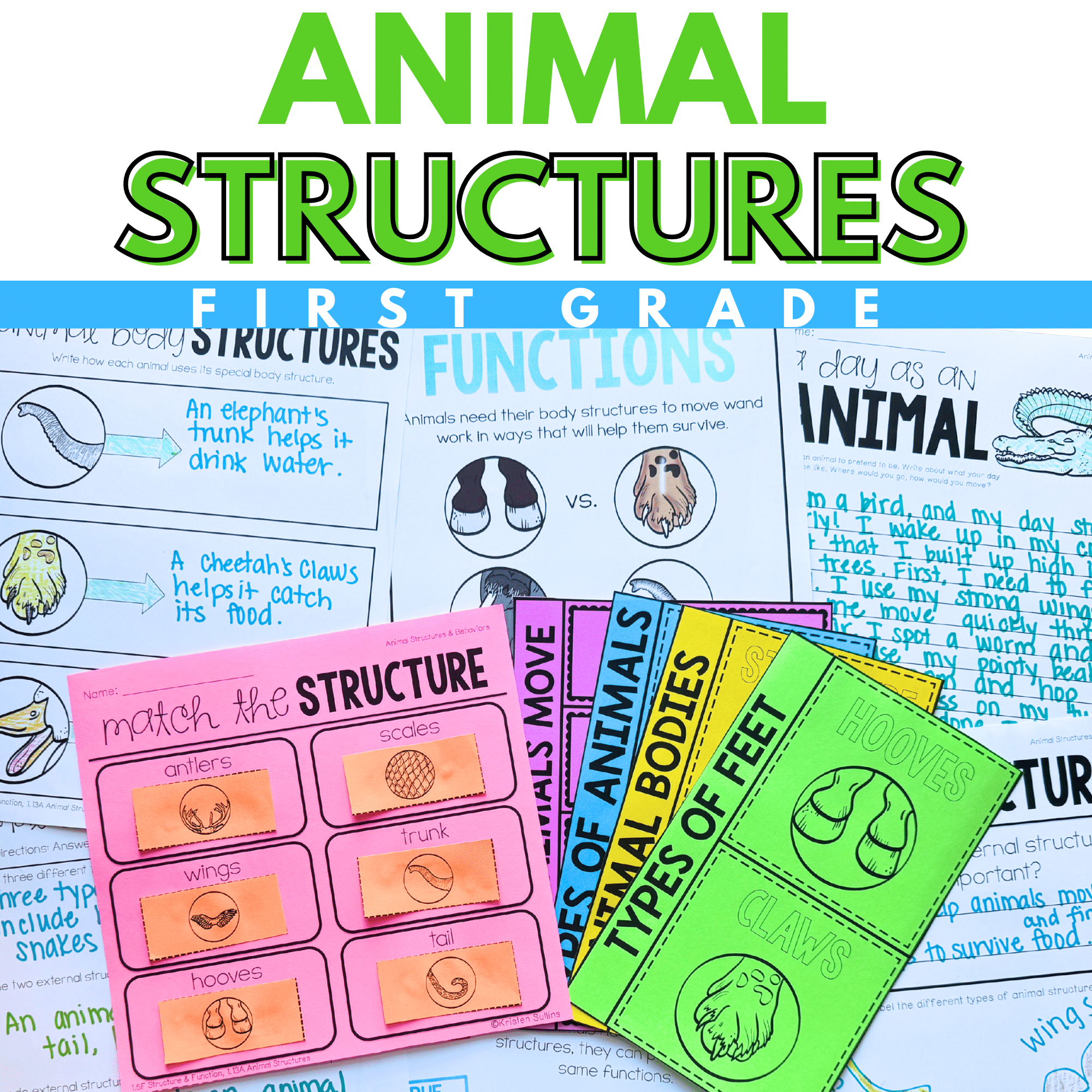 Animal Structures and Functions for First Grade - Kristen Sullins Teaching