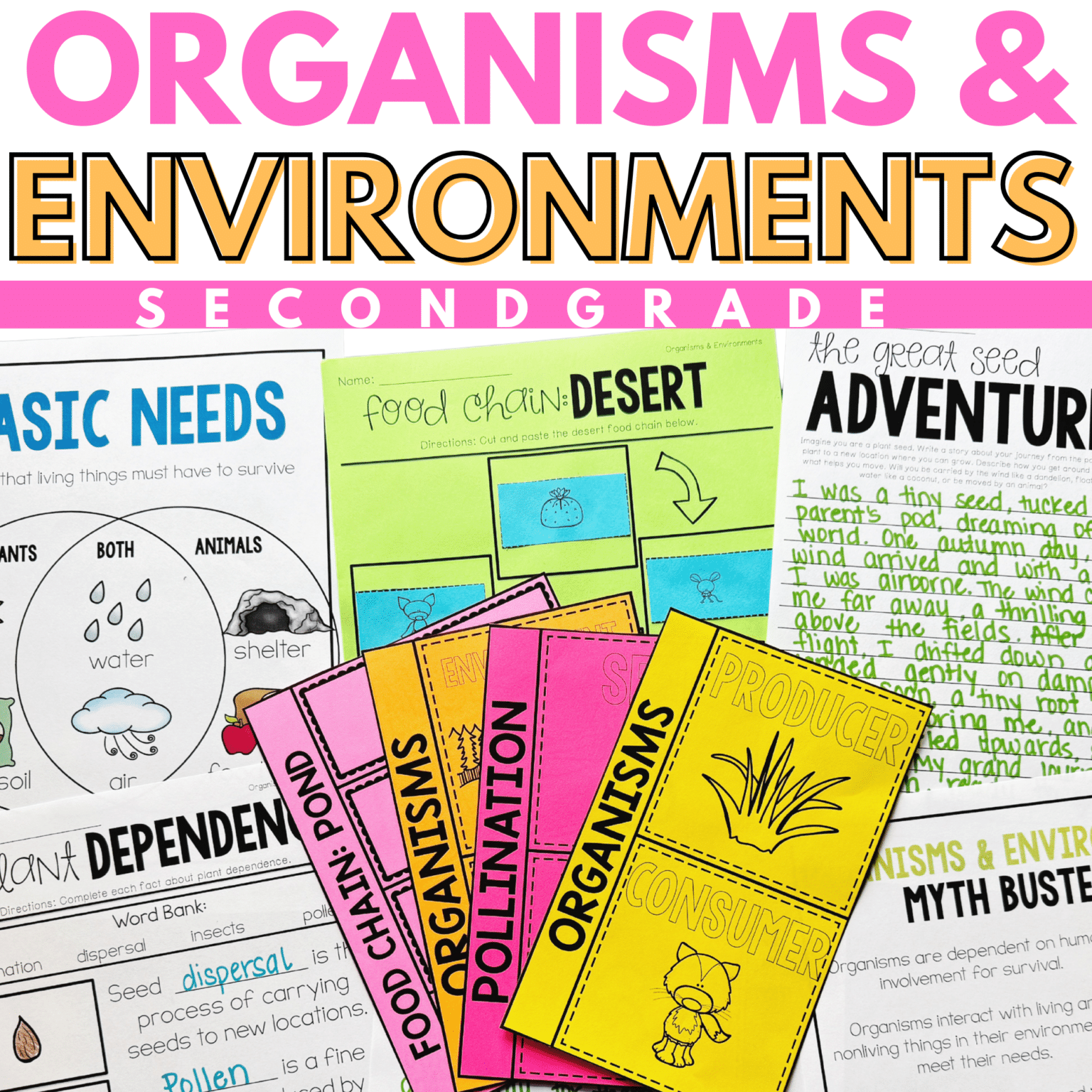 Organisms and Environments (Food Chains) for Second Grade - Kristen ...