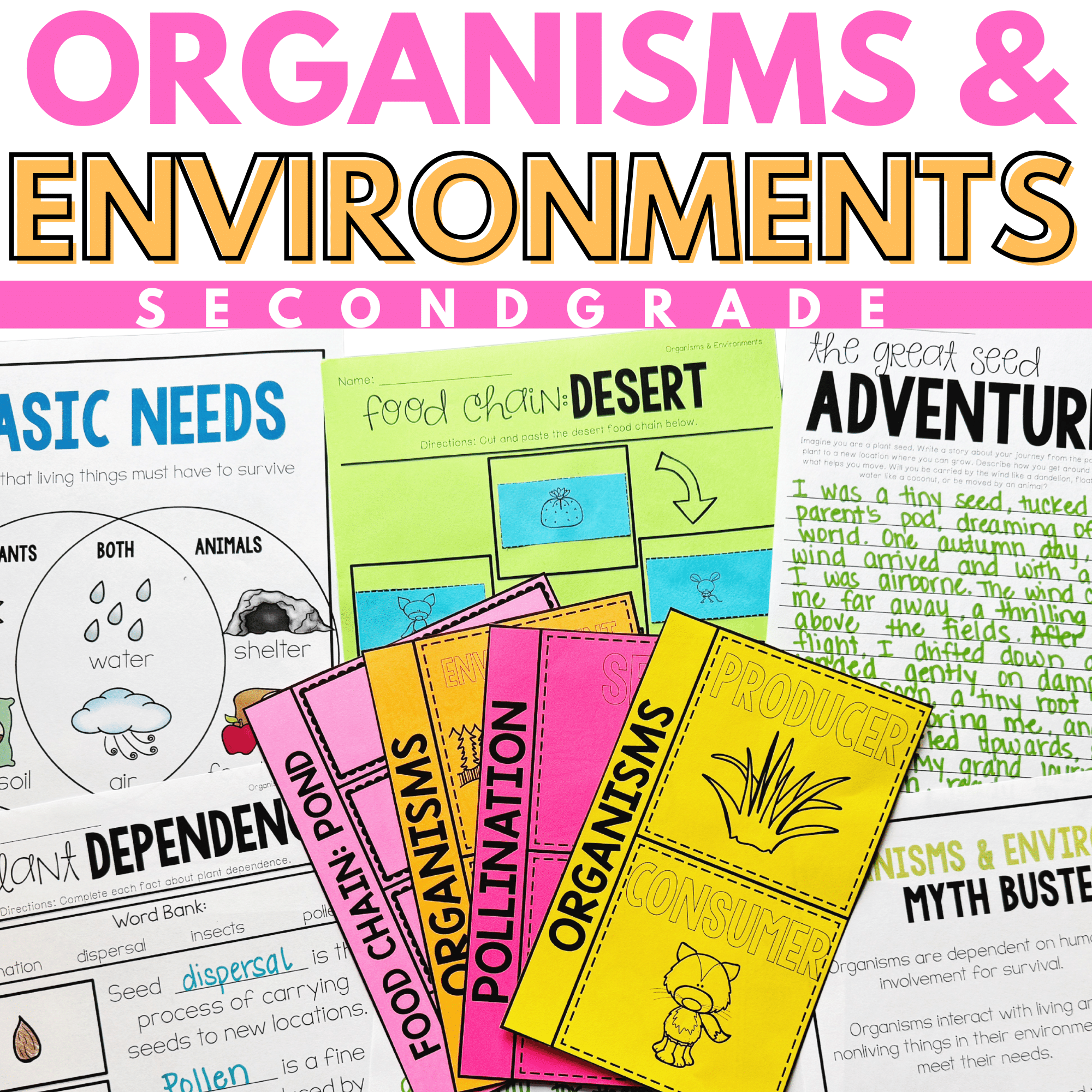 Organisms and Environments (Food Chains) for Second Grade - Kristen ...